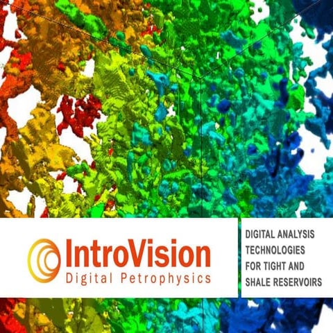 PathView | Well Path Visualization Software | PDF