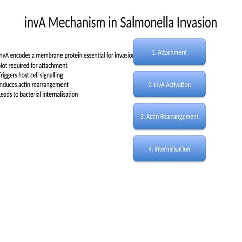 bacterial invasion gene - invA molecular mechanism | PPTX