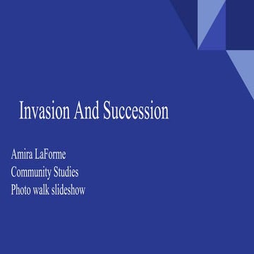Invasion and succession | PPT
