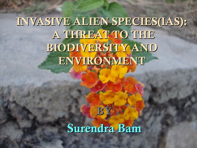 Intruders_in_Ecosystems_Expert.pptx00000 | PPTX