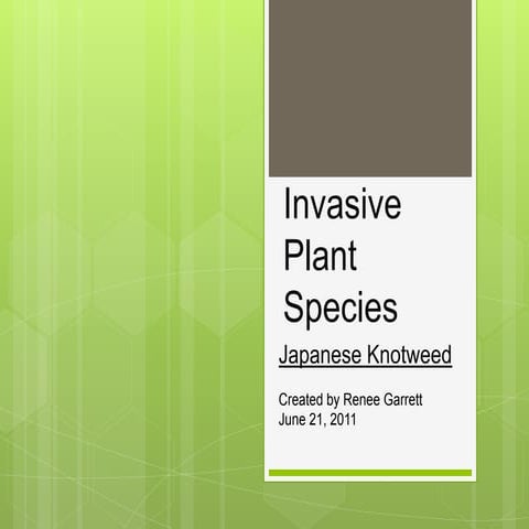 WILDFIRES & INVASIVE SPECIES | PPT