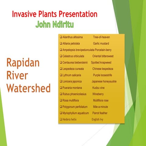Invasive rapidan river watershed | PPTX