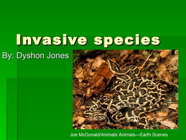 Environmental Impact of Invasive Species on The Florida Everglades | PPTX