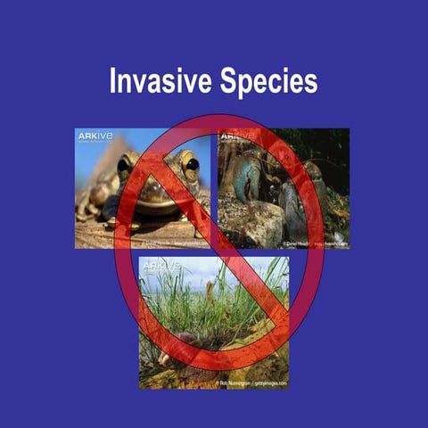 Invasive Species biology lower secondary.pptx