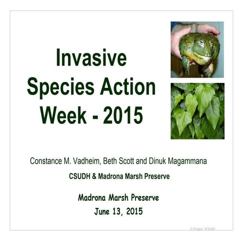 Invasive species action week | PDF