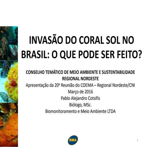 INVASÃO DO CORAL SOL NO BRASIL- O QUE PODE SER FEITO? | PPT