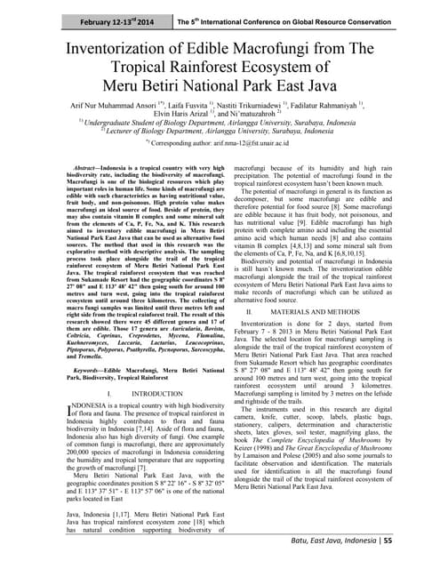 LICHENS IN PENANG | DOCX