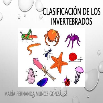 Los animales invertebrados. Características y calsificación. | PPT