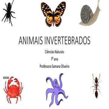 Exemplos De Animais Invertebrados