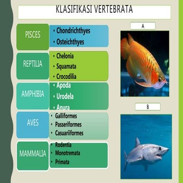 materi Invertebrata | PPTX