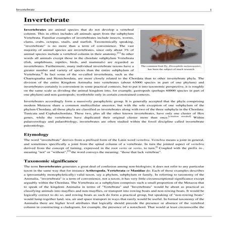 Invertebrate | PDF