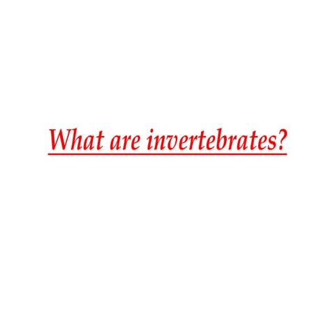 Invertebrate | PPTX