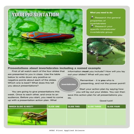 Invertebrates class ppt | PPT
