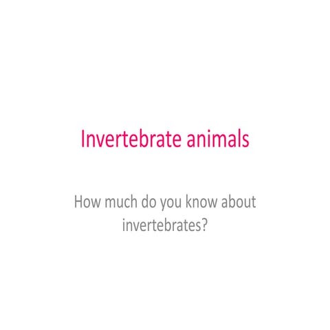 Invertebrate animals | PPTX