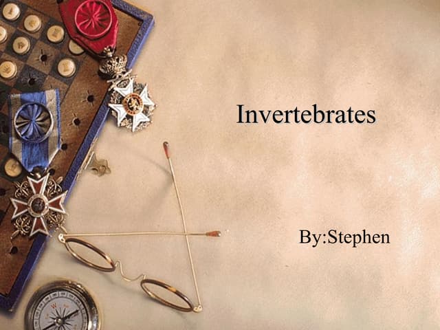 Invertebrates | PPT