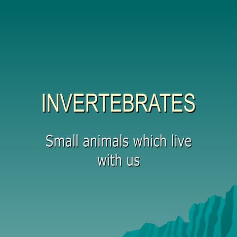 Invertebrates Presentation Amal | PPT