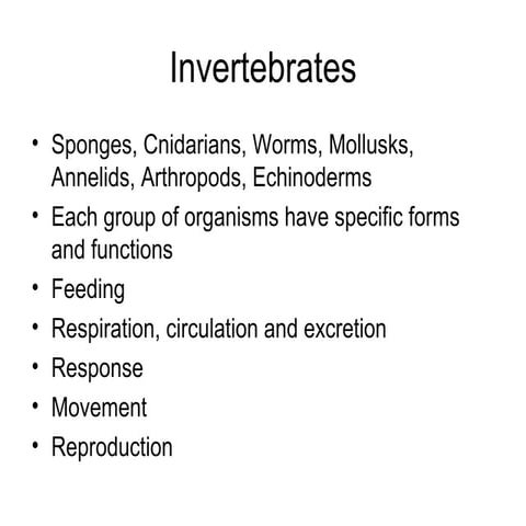 Invertebrates | PPT