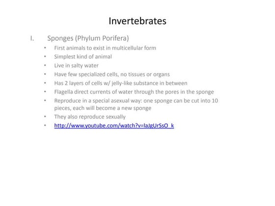 Chart invertebrates | PDF