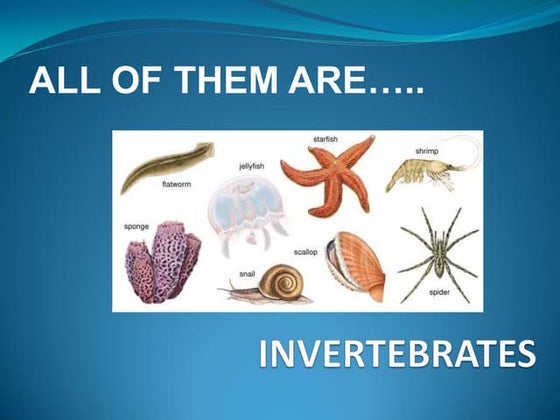 Animal Classification (Grade 5) | PPT