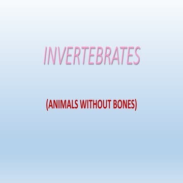 Invertebrates class ppt | PPT