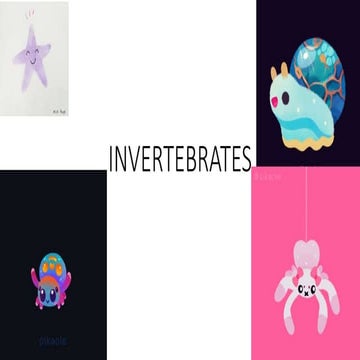 Invertebrates | PPT