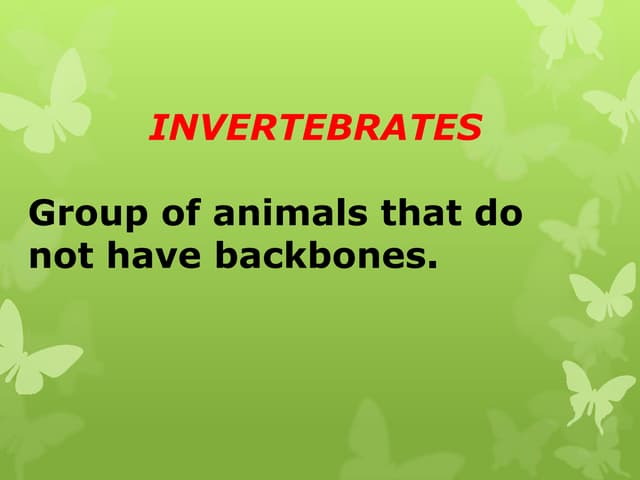Invertebrates class ppt | PPT