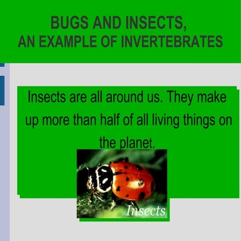 Insects & bugs | ODP