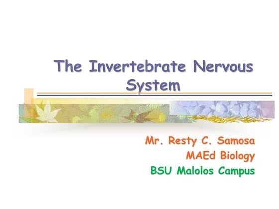 Nervous system in insects | PPTX | Brain and Nervous System Disorders ...