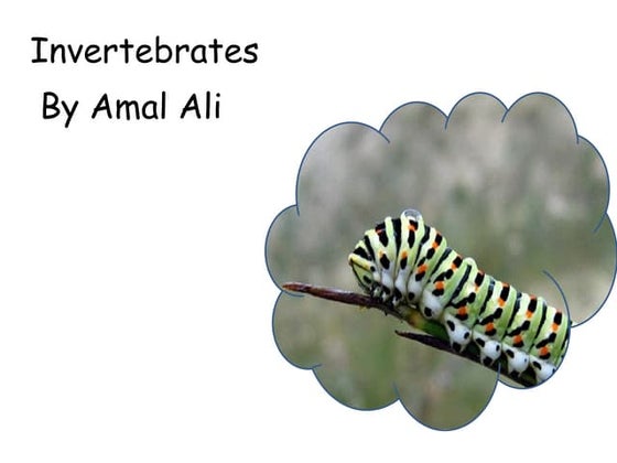 Invertebrates class ppt | PPT