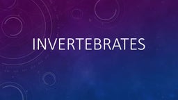 Ppt1 invertebrates | PPT