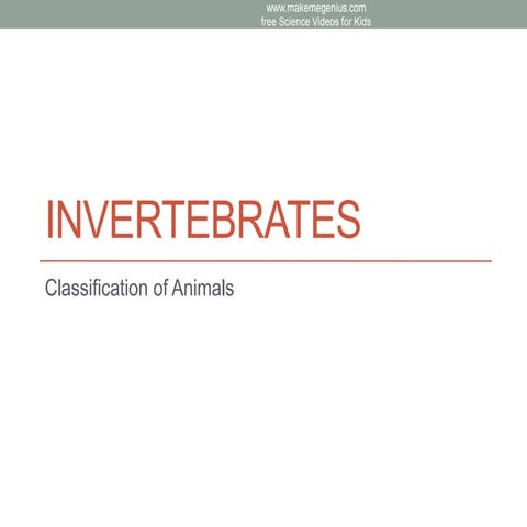 Invertebrates_Classification_of_Animals.pdf