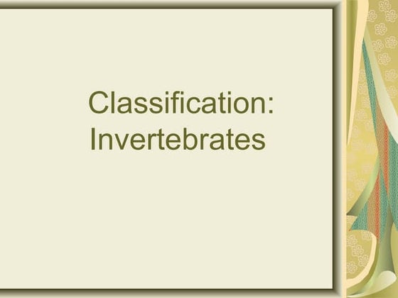 Animals classification | PPT