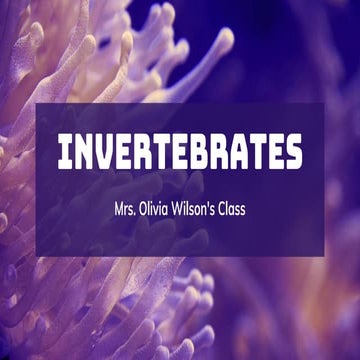 Science Lesson about Invertebrates Lesson | PPTX