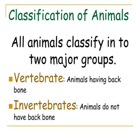 Invertebrates presentation | PPSX
