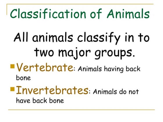 Invertebrates class ppt | PPT