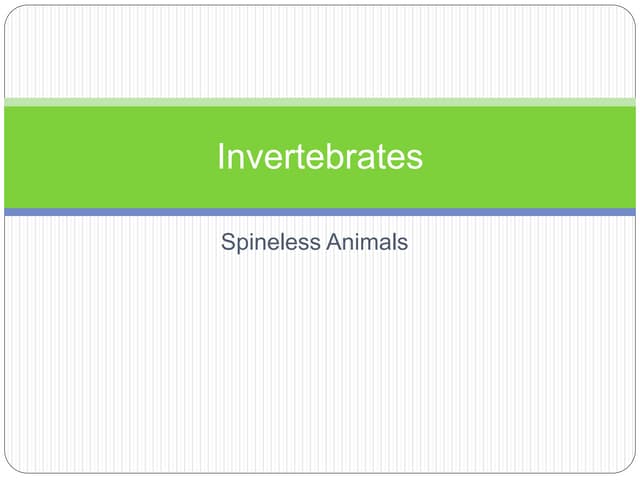 Animal Classification (Grade 5) | PPTX