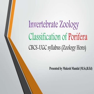 Classification of Porifera | PPTX
