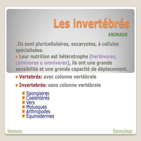 Invertebres | PDF