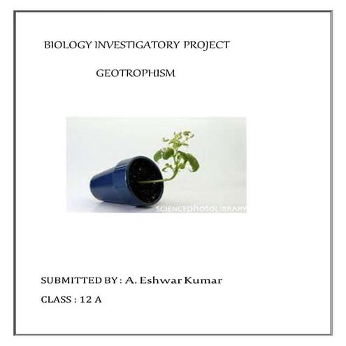 Bio investigatory project .docx