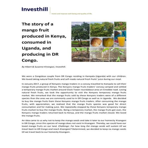 Investhill_The story of a mango fruit produced in Kenya consumed in ...