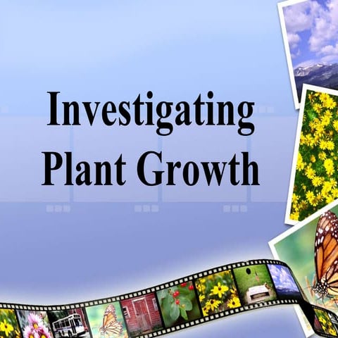 Investigating plant growth | PPT