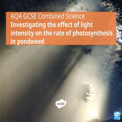Investigating the Effect of Light Intensity - PowerPoint.ppt