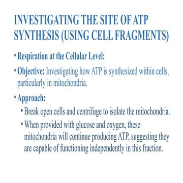 INVESTIGATING THE SITE OF ATP SYNTHESIS.pptx