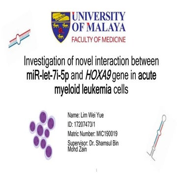 Investigation of novel interaction between microRNA let-7i-5p and.pptx