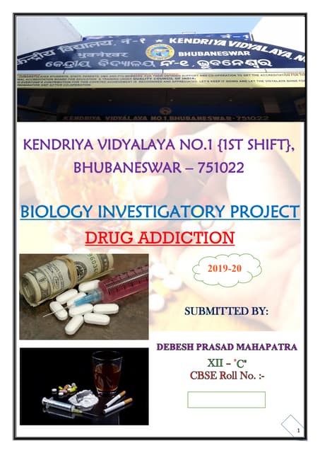 Drug addiction project class 12 | PDF