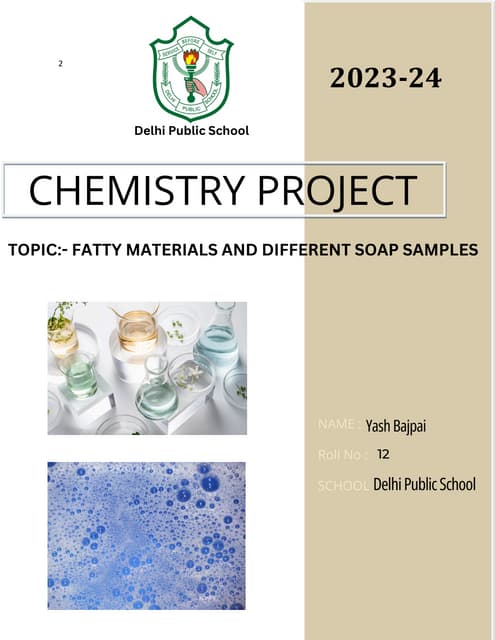 CBSE Investigatory Project Of Subject Chemistry- Class 11 | DOCX