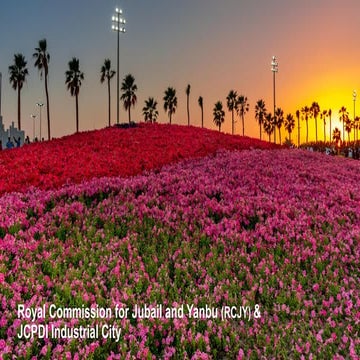 RCJY and JCPDI (EN version) | PDF