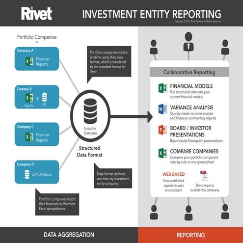 Rivet Software Investment Entity Reporting | PDF