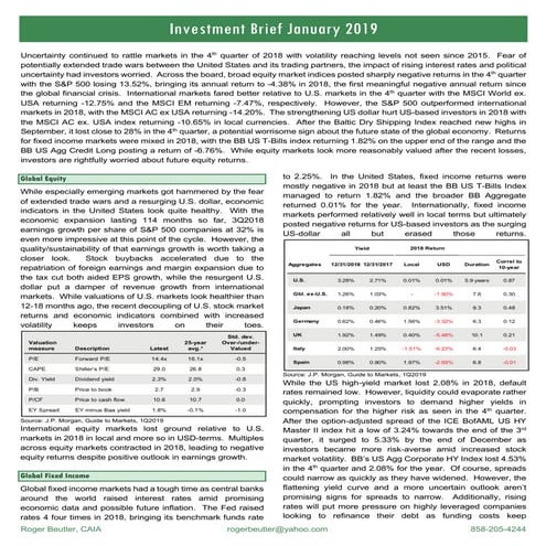 Investment Brief January 2019 | PDF