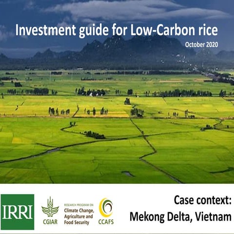 Investment guide for low-carbon rice | PDF